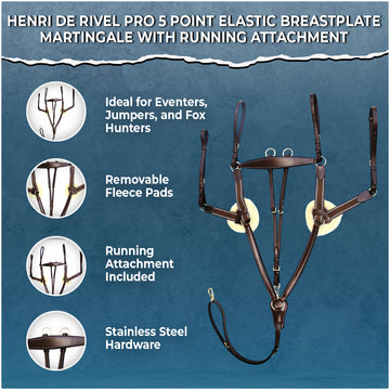 Premium Collegiate Breastplates: Enhance Your Riding Performance – JPC ...